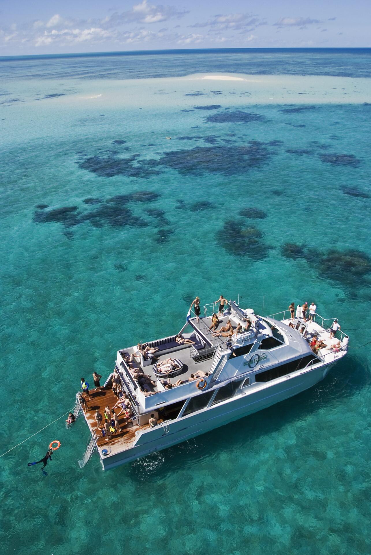 Ocean Freedom Cruises | Cairns Discovery Tours