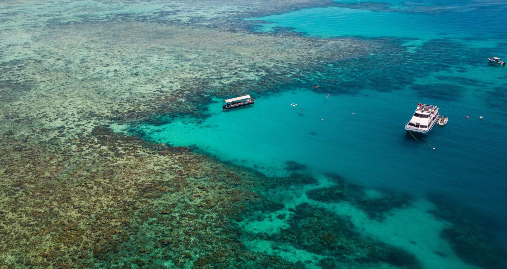 Ocean Freedom Cruises | Cairns Discovery Tours