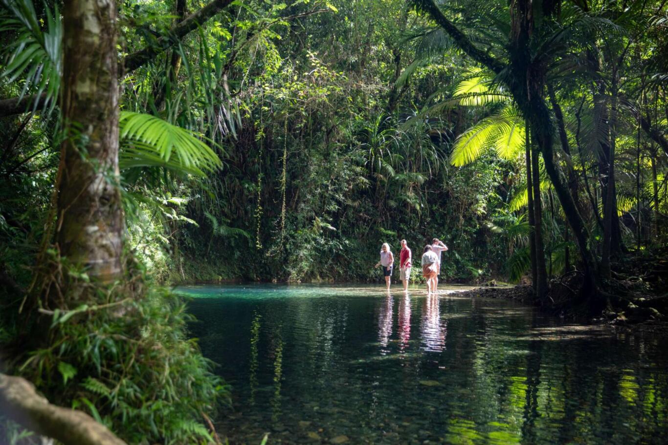 2 Day Reef - Rainforest Tour | Cairns Discovery Tours